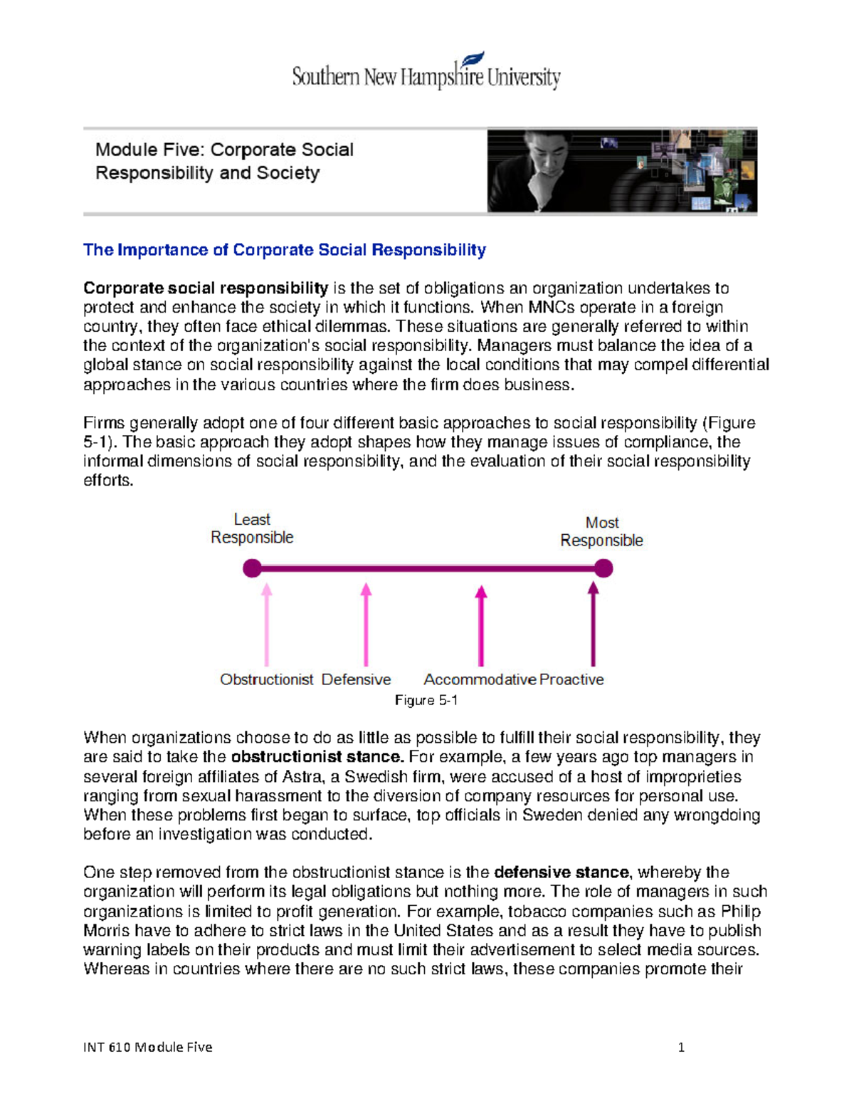 INT610 Module 5 Lecture - The Importance of Corporate Social ...