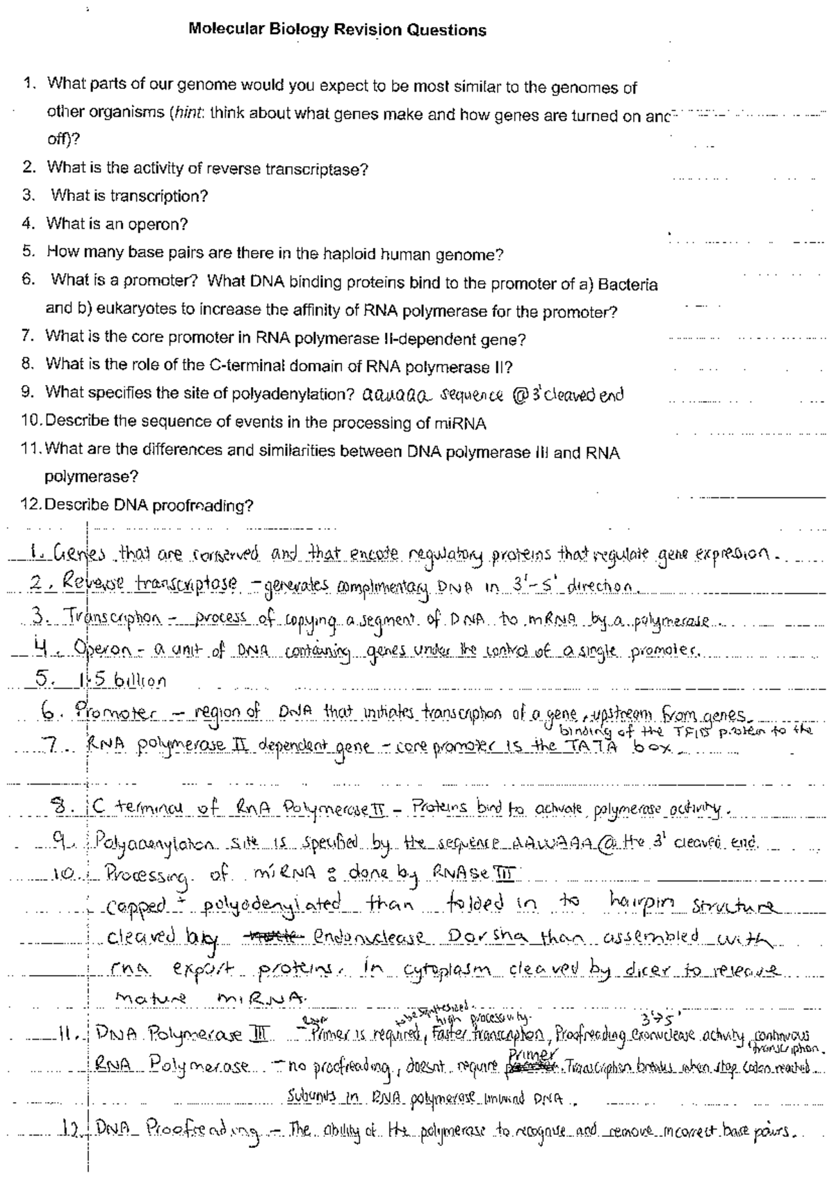 Molecular biology revision notes - 300817 - Studocu
