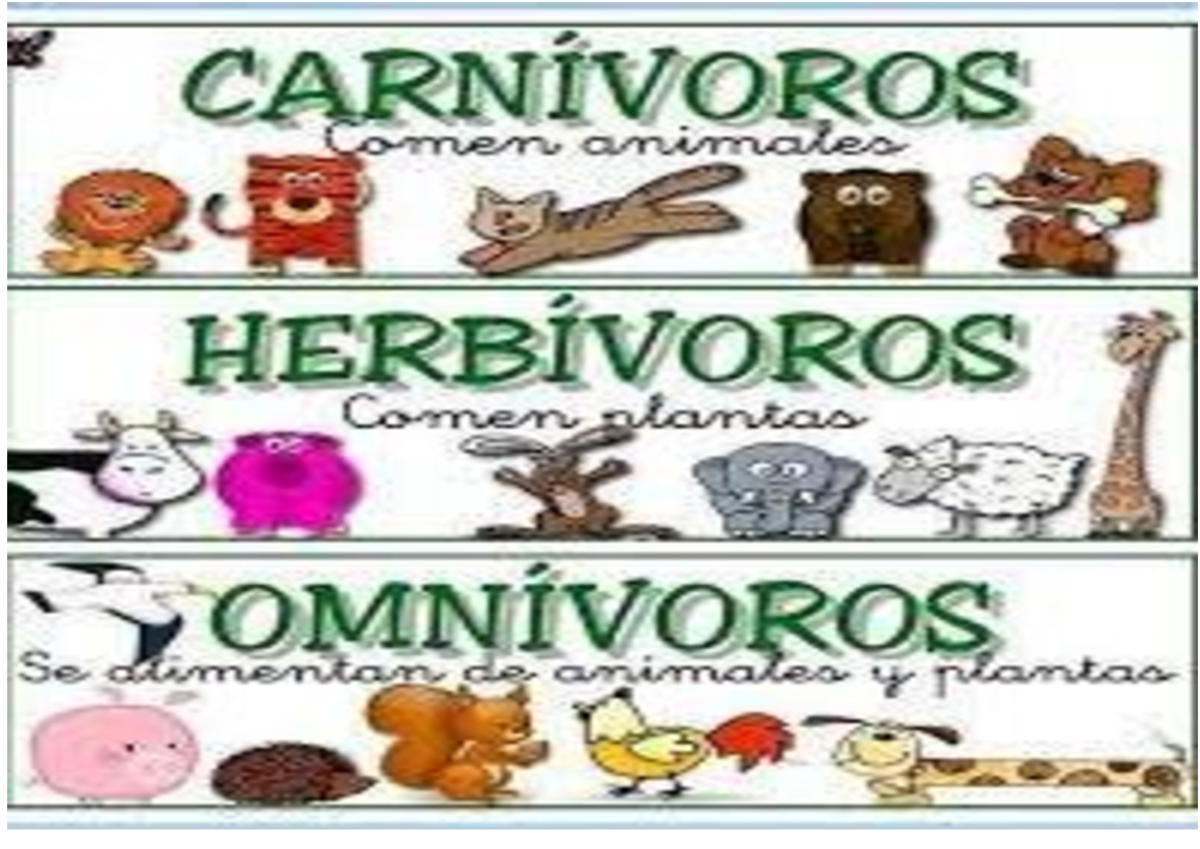 Doc1.docx QUE COME LOS Animales - Ciencias Sociales - CARNÍVOROS Comen ...