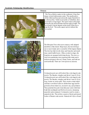 Ecosystem Ecology learning goals and practice questions - Ecosystem ...