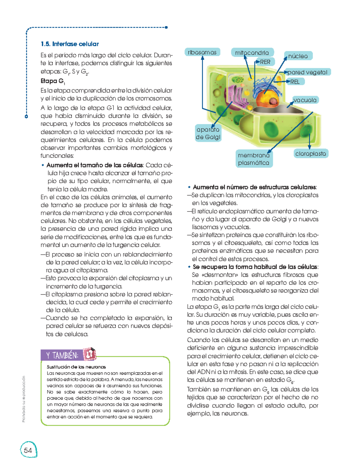 Biologia- Interface Celular 22 al 26 Julio - Prohibida su reproducción ...