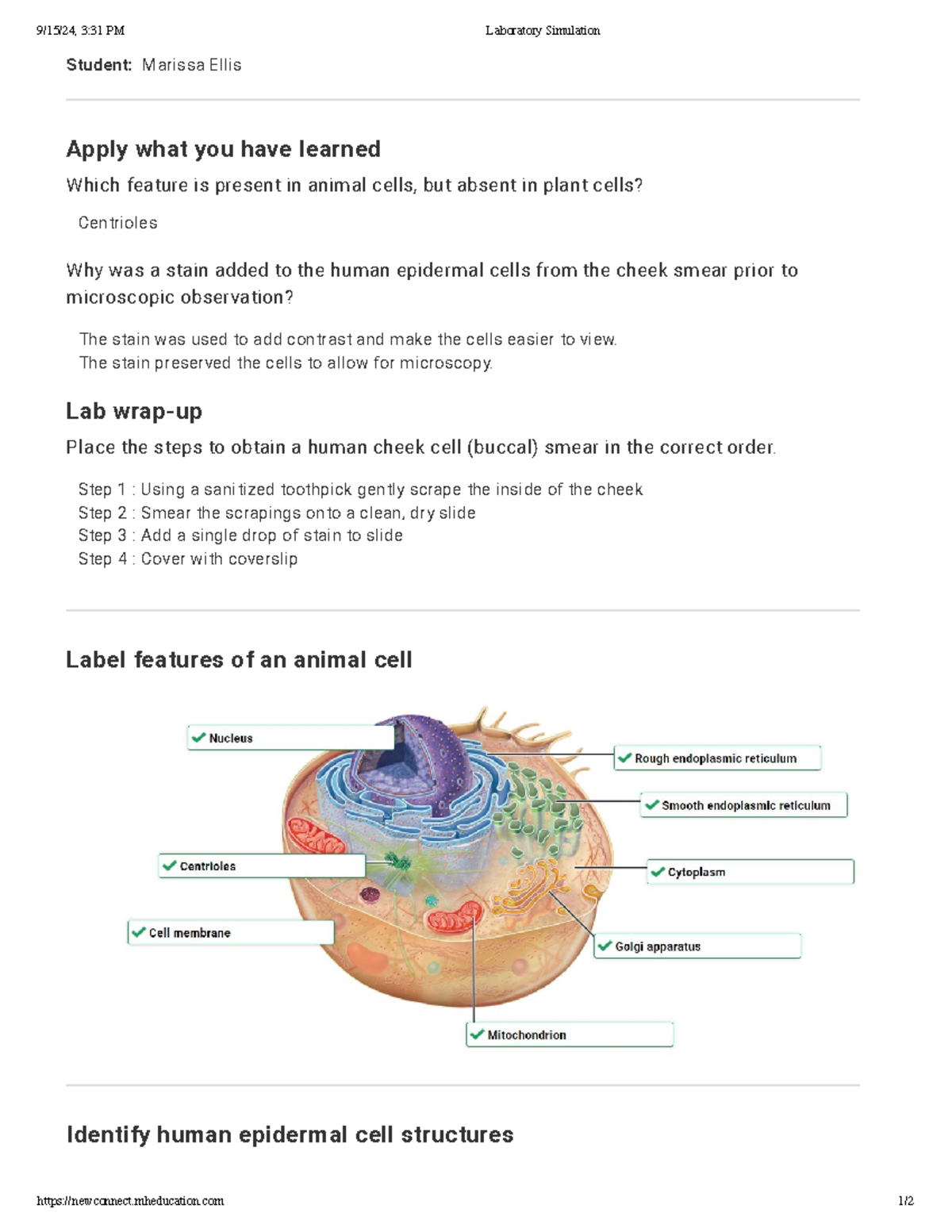 Microscopy- animal cells lab - Student: Marissa Ellis Apply what you ...