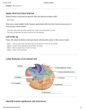 Microscopy Examining cell structure lab - Student: Marissa Ellis Apply ...