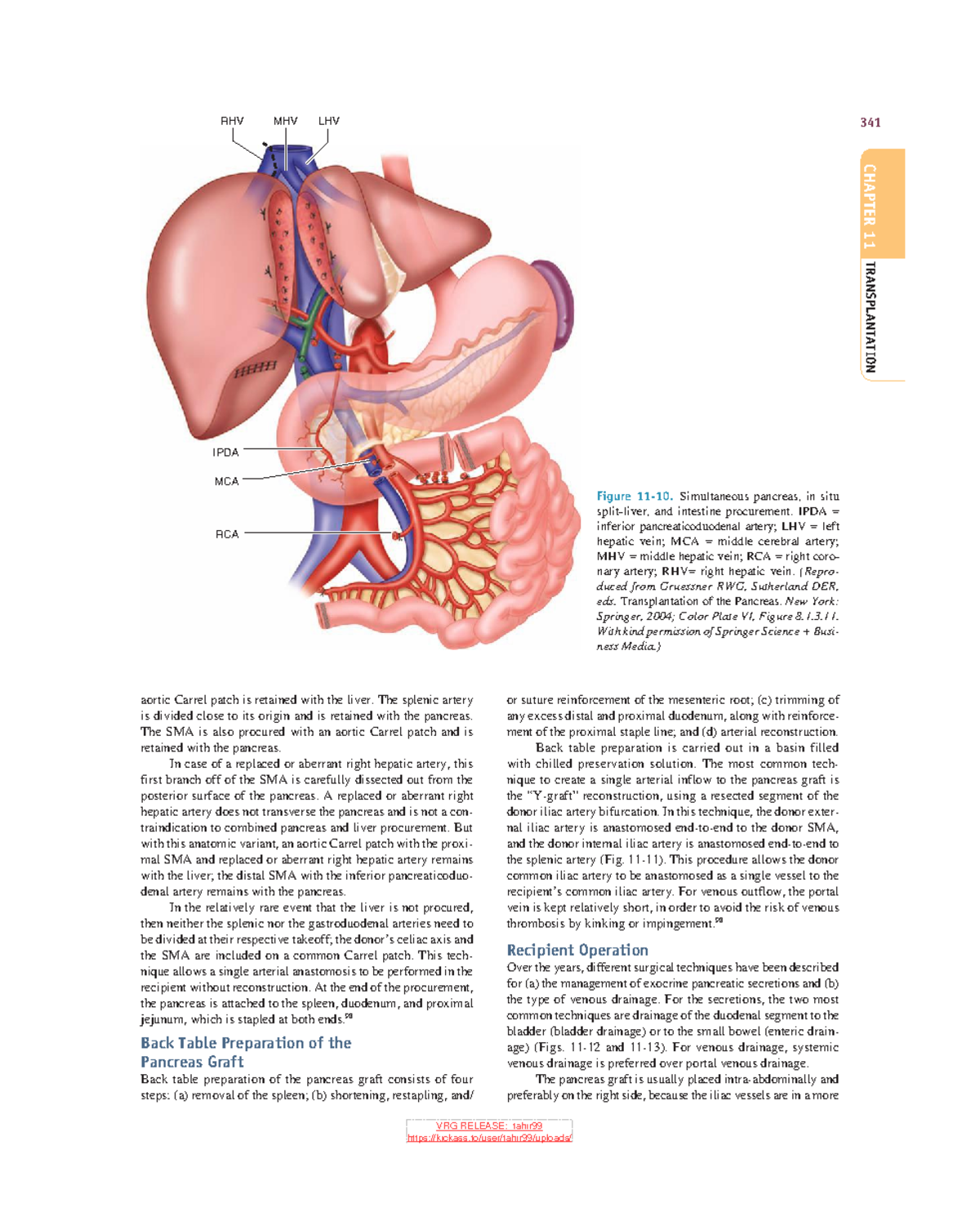 Schwartz's Principles of Surgery-35 - 341 TRANSPLANTATION CHAPTER 11 ...