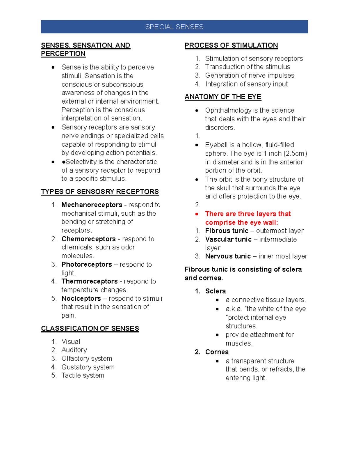 Happlec - Transes - anatomy and physiology - SENSES, SENSATION, AND ...