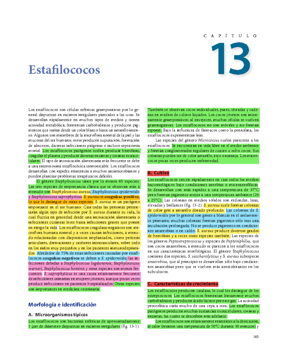 Estafilococos - Se desarrollan rápidamente en muchos tipos de medios y ...