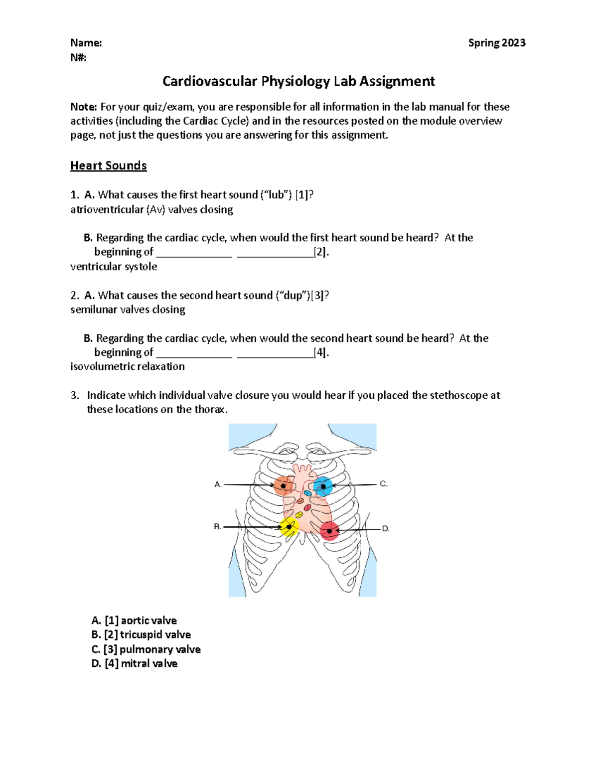 Cardiovasc Physio Assignment - Name: Spring 2023 N#: Cardiovascular ...