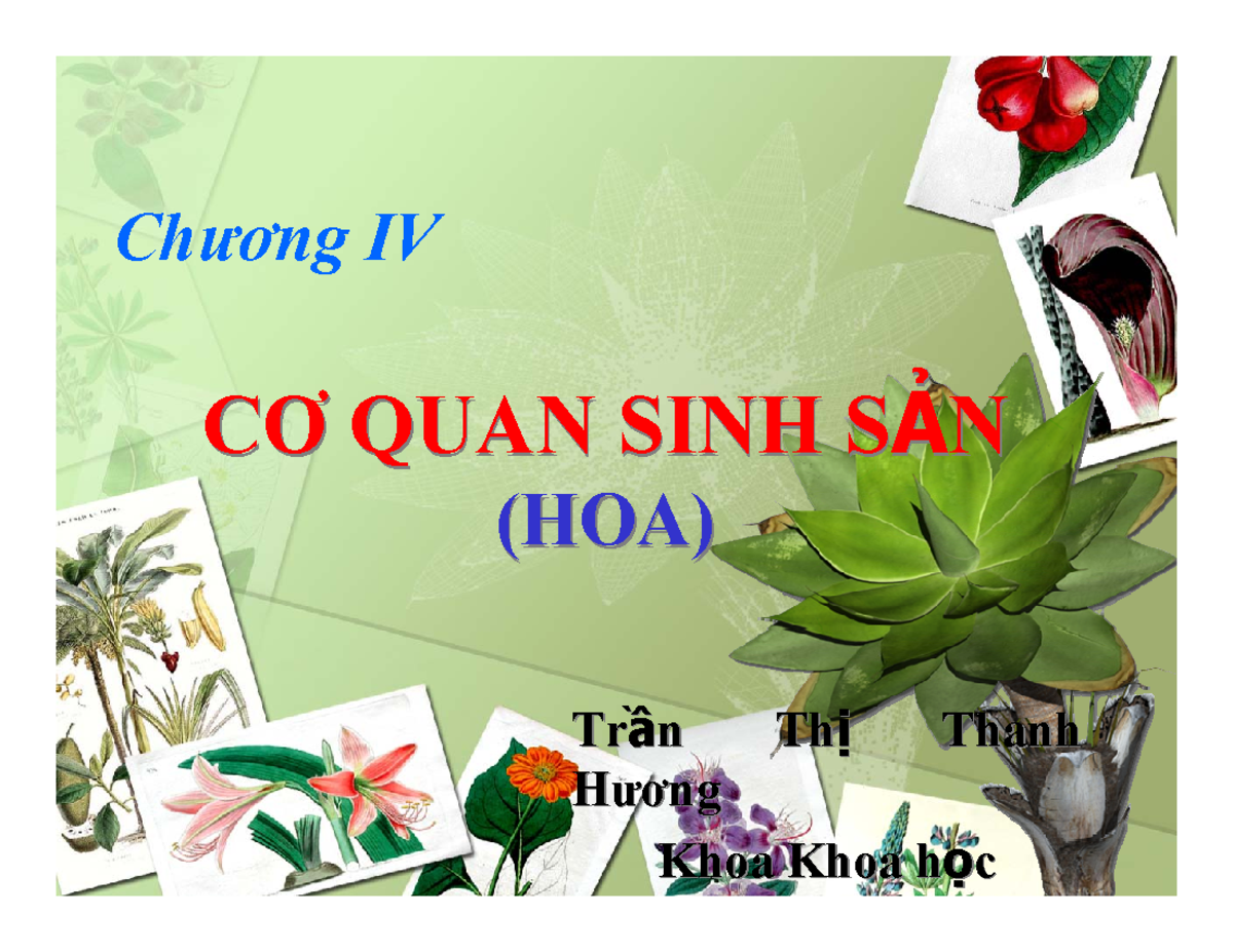 Chuong 4 (Hoa) - C Ơ QUAN SINH S Ả N (HOA) C Ơ QUAN SINH S Ả N (HOA) Tr ầ n Th ị Thanh H ươ ng ...