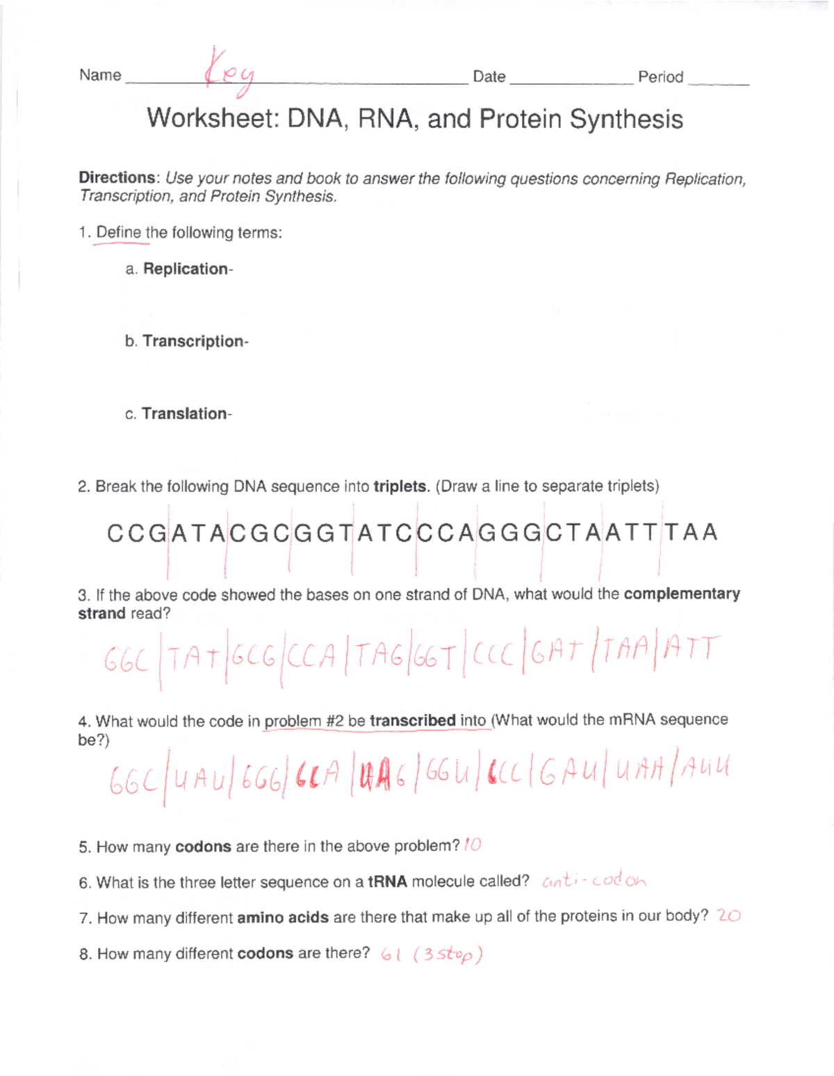 Dna rna protein key - secondary education - Studocu