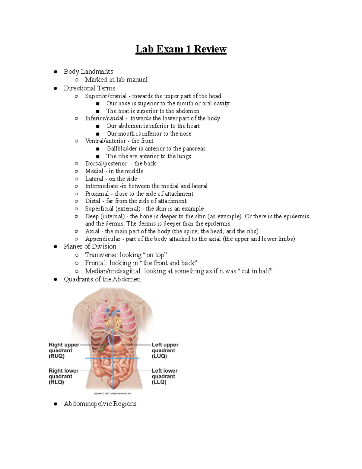 Lab Exam 1 Outline - Study guide - Lab Exam 1 Review Body Landmarks ...
