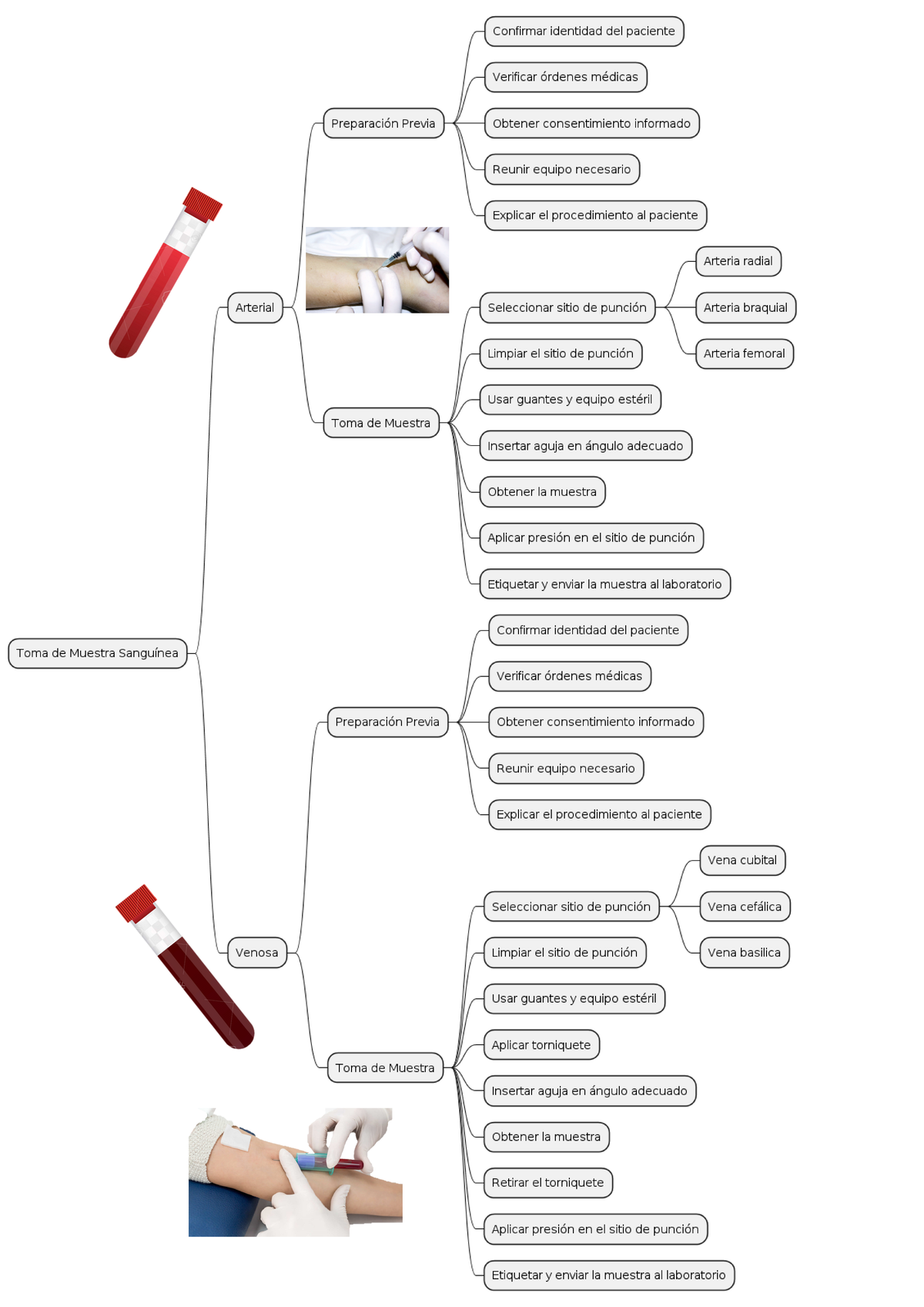 Toma de muestra sanguínea arterial y venosa, mapa conceptual - Confirmar identidad del paciente ...