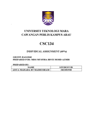 INDIVIDUAL ASSIGNMENT - CSC Sales Performance Report for Year 2024 NAME ...