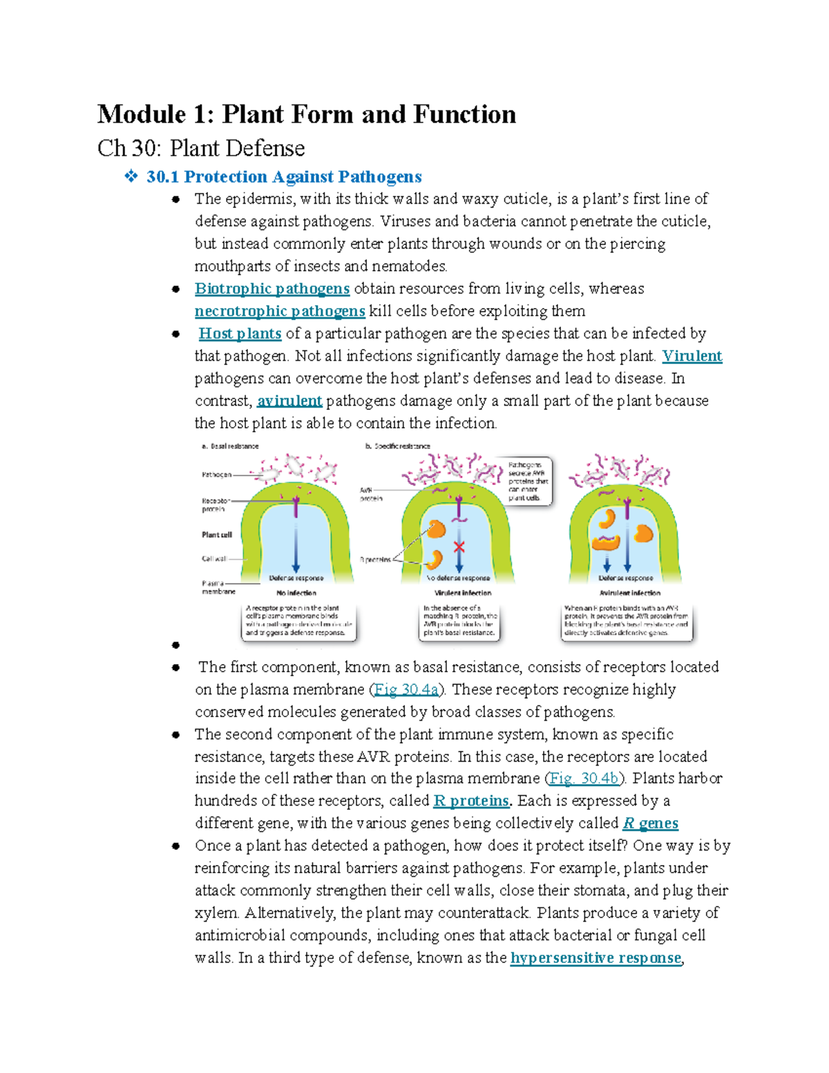 Module 1 Plant Form and Function - CH 30+31 - Module 1: Plant Form and Function Ch 30: Plant ...