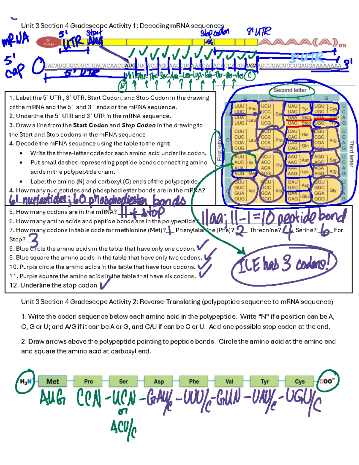 Unit 3 Sections 4 and 5 - Gradescope - Unit 3 Section 4 Gradescope Activity 1: Decoding mRNA ...