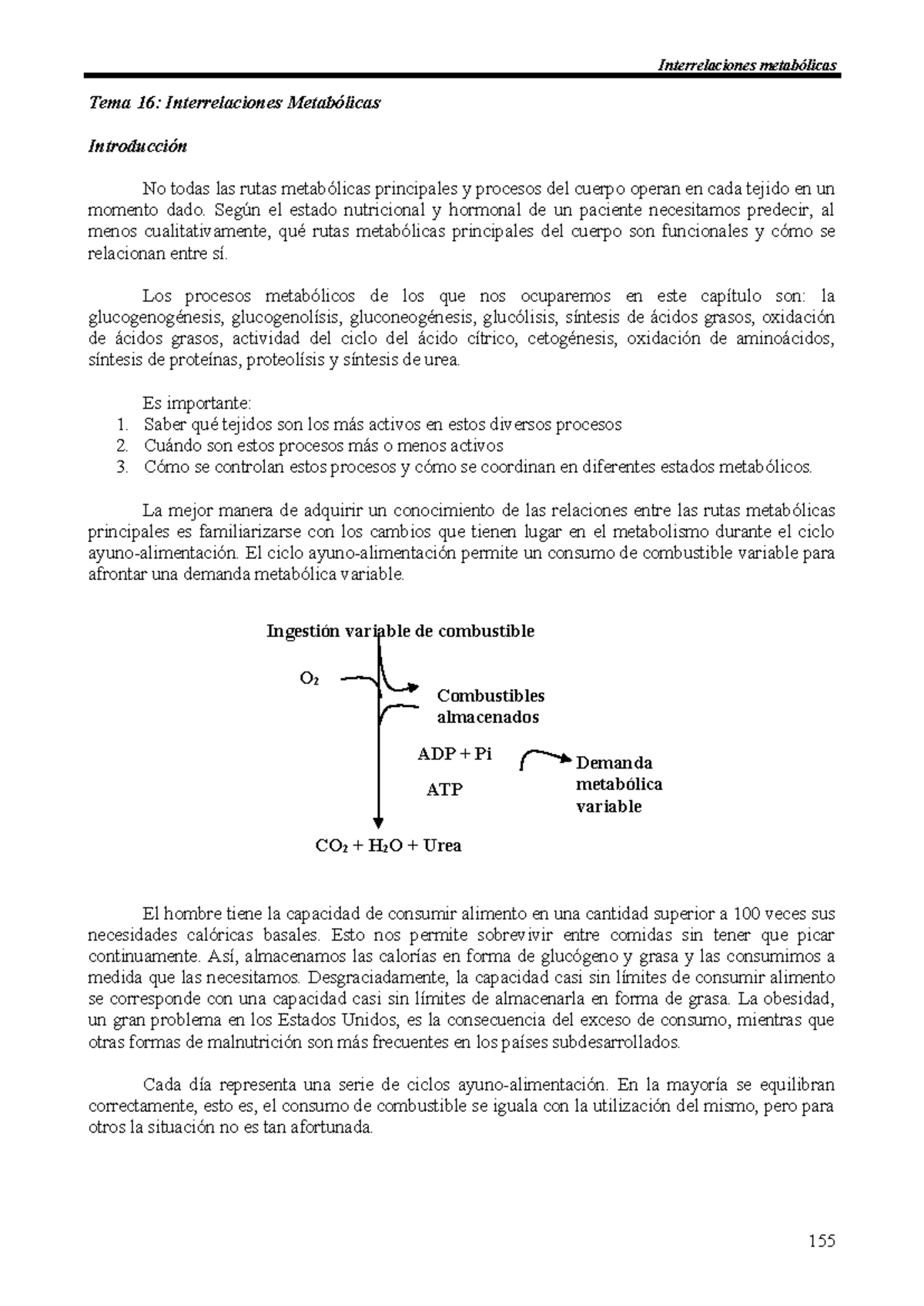 Tema16 - nhhhhh - Tema 16: Interrelaciones Metabólicas Introducción No ...