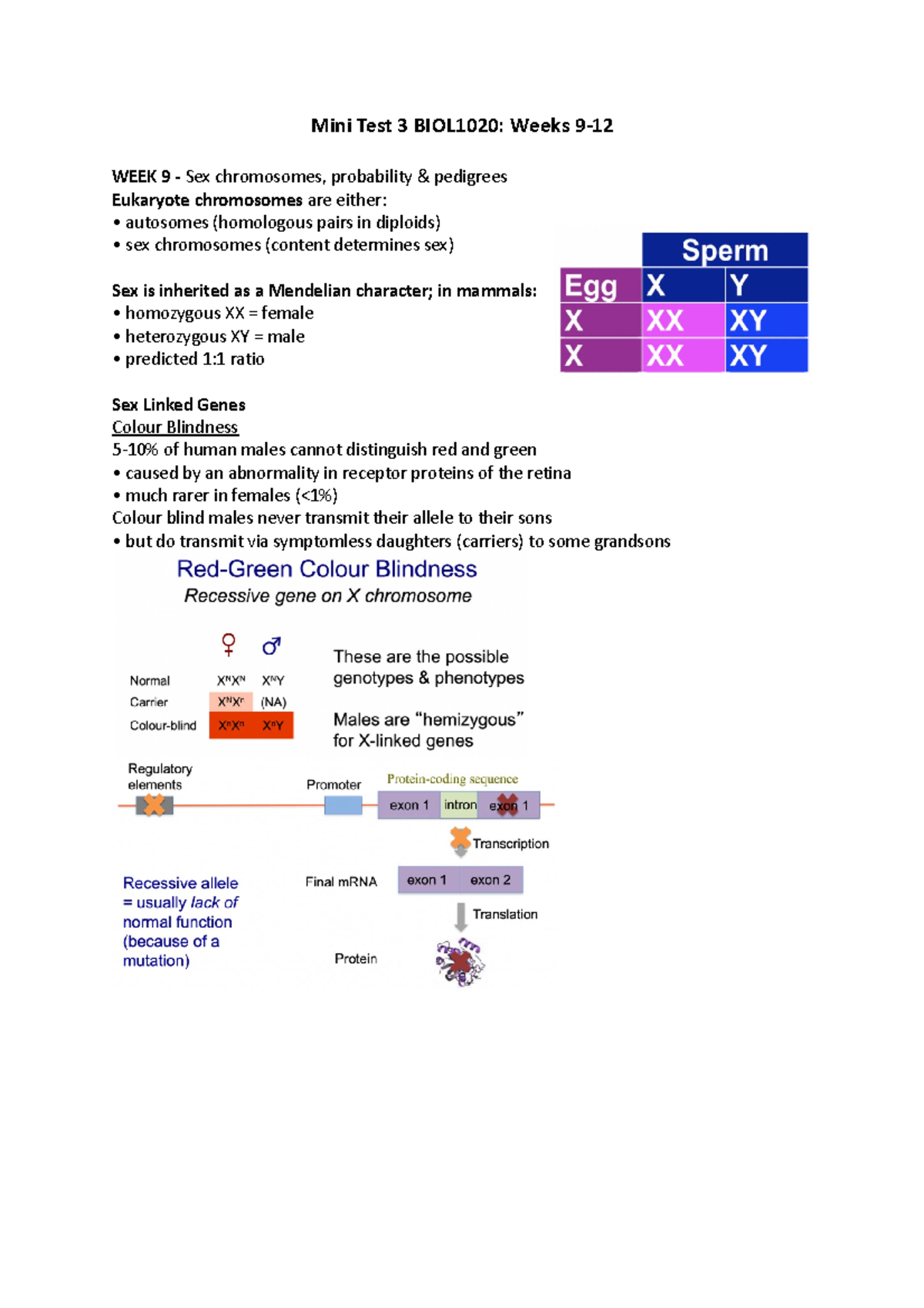 Mini Test 3 BIOL1020 - Notes for cheat sheet - Mini Test 3 BIOL1020 ...