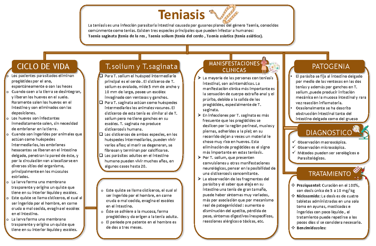Mapa mental sobre Teniasis - CICLO DE VIDA PATOGENIA DIAGNOSTICO P R E ...