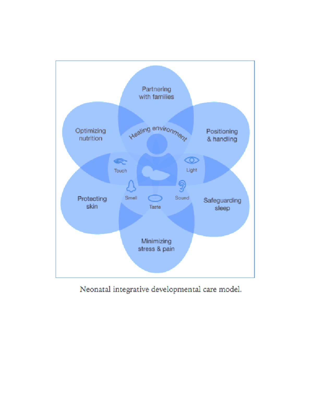 Learning developmental - Management in Context - Massey University ...