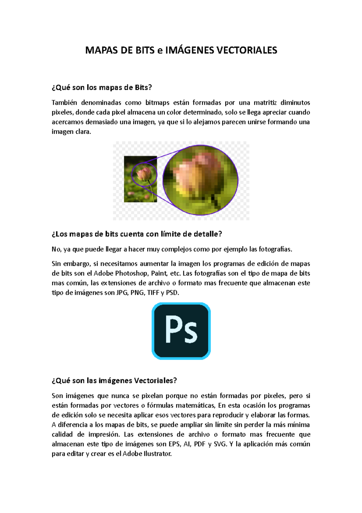 Mapas DE BITS e Imágenes Vectoriales resumen - MAPAS DE BITS e IMÁGENES ...