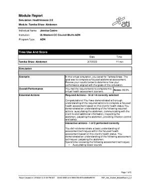 Report (11) - Ati Stimulation module - Module Report Simulation ...