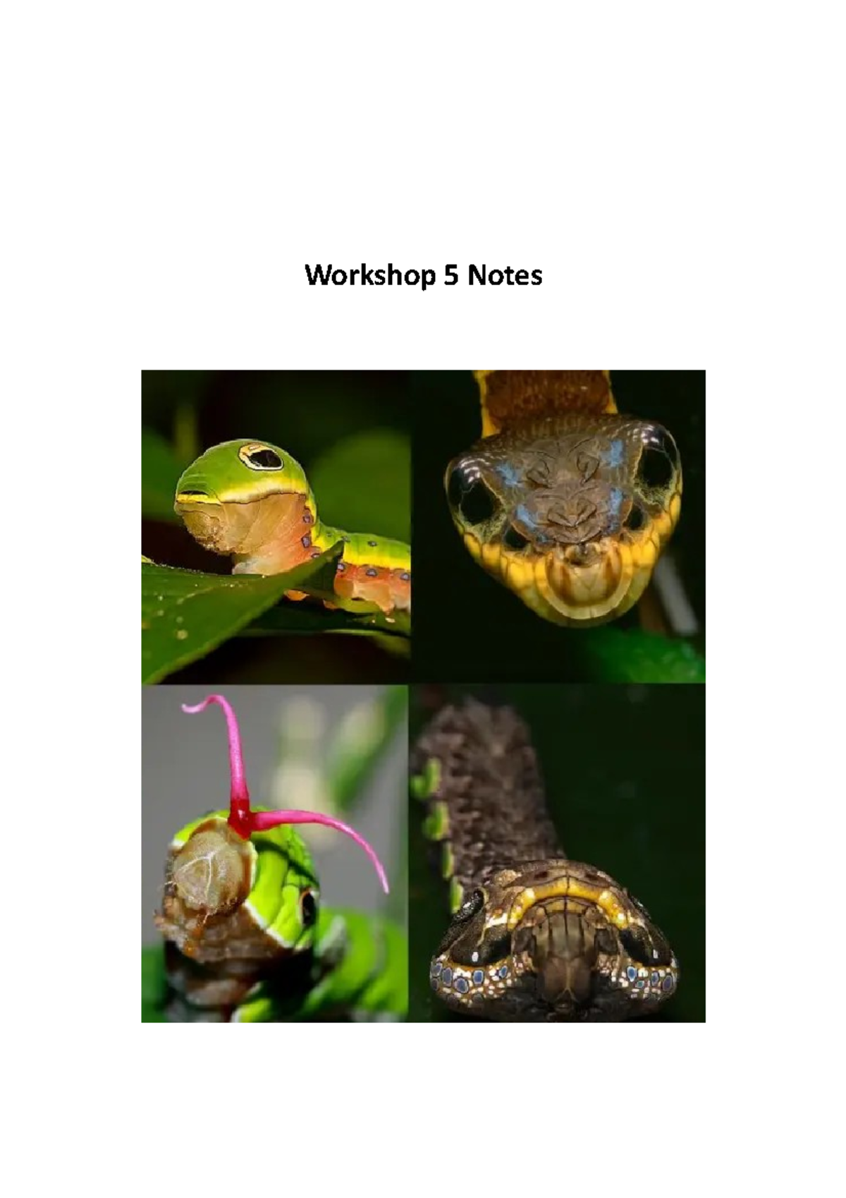 BIOM10002 Workshop 3 Student Notes - Workshop 5 Notes WORKSHOP 1 ...