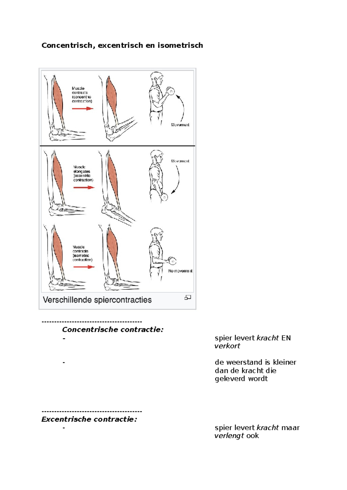 Anatomie plaatjes open deel - Concentrisch, excentrisch en isometrisch ...