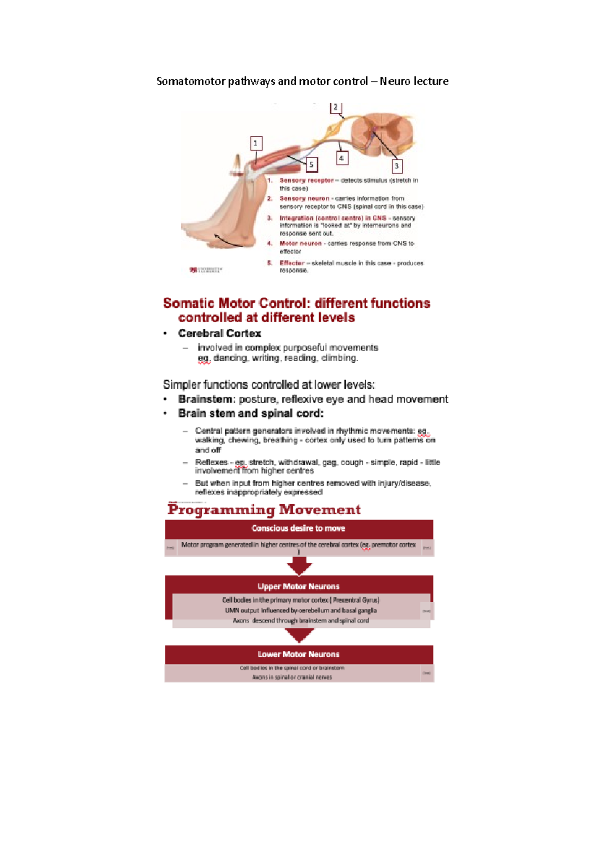 Neurological Lecture - 3-4Somatomotor pathways and motor control ...