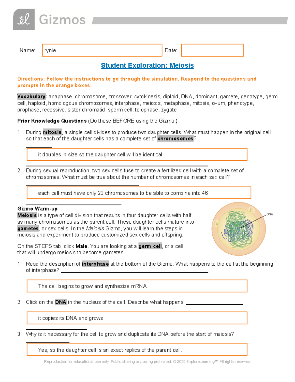 Rory Bright - Meiosis Gizmo - Name: rynie Date: Student Exploration ...
