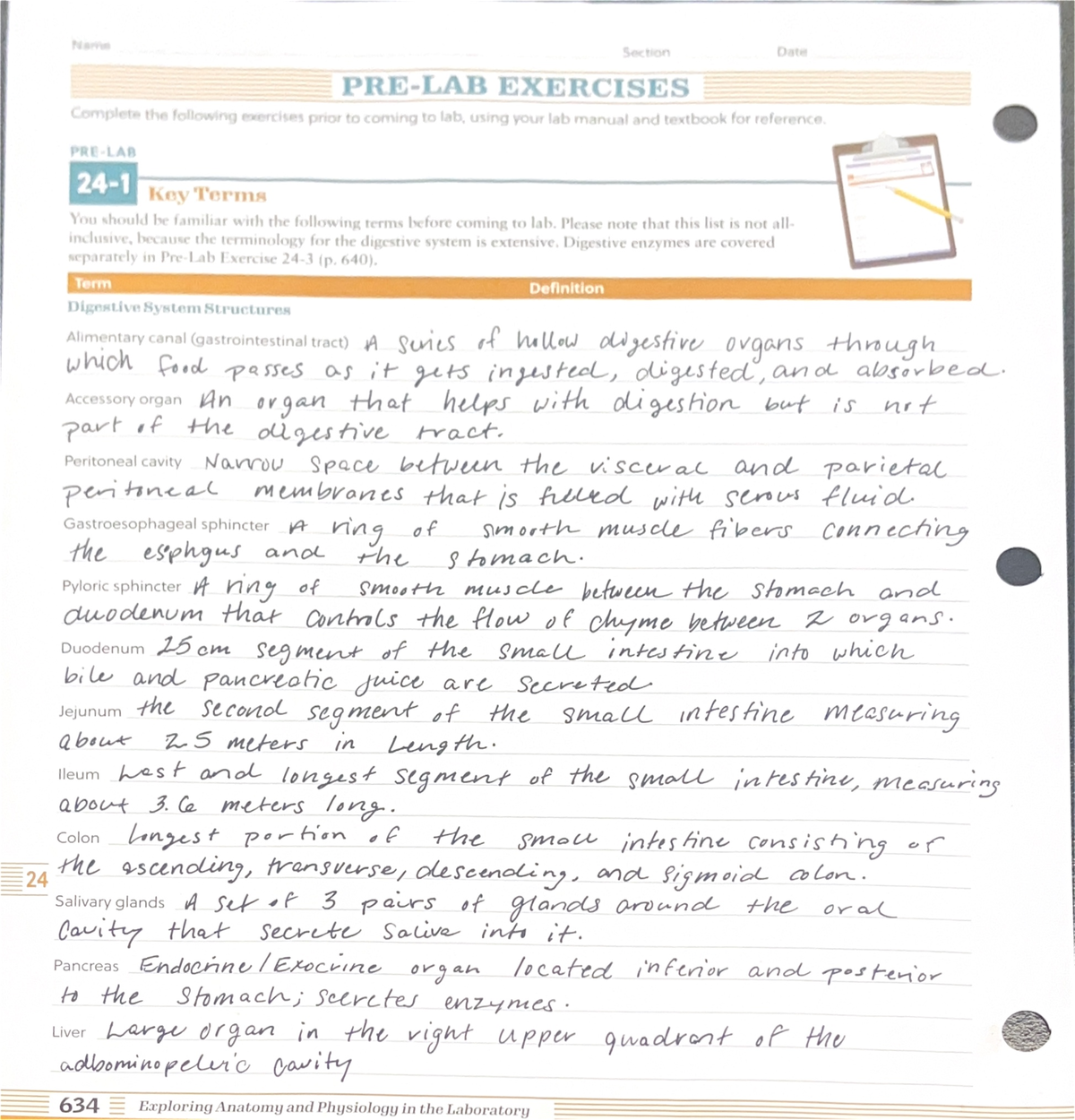 Lab Ex. 24 - Lab Understanding and Recall Questions - Name Section Date EXERCISES Complete the ...