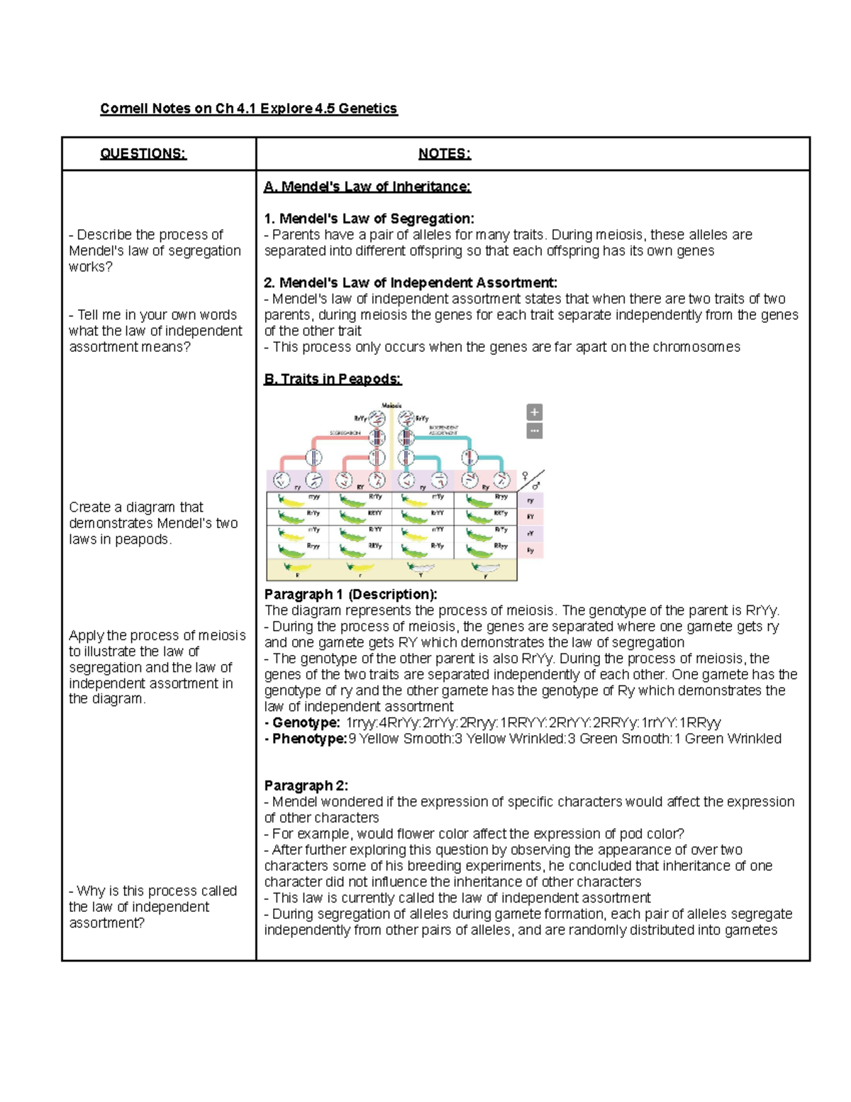 Copy of Cornell Notes on Ch 4.1 Explore 4.5 Genetics - Cornell Notes on ...