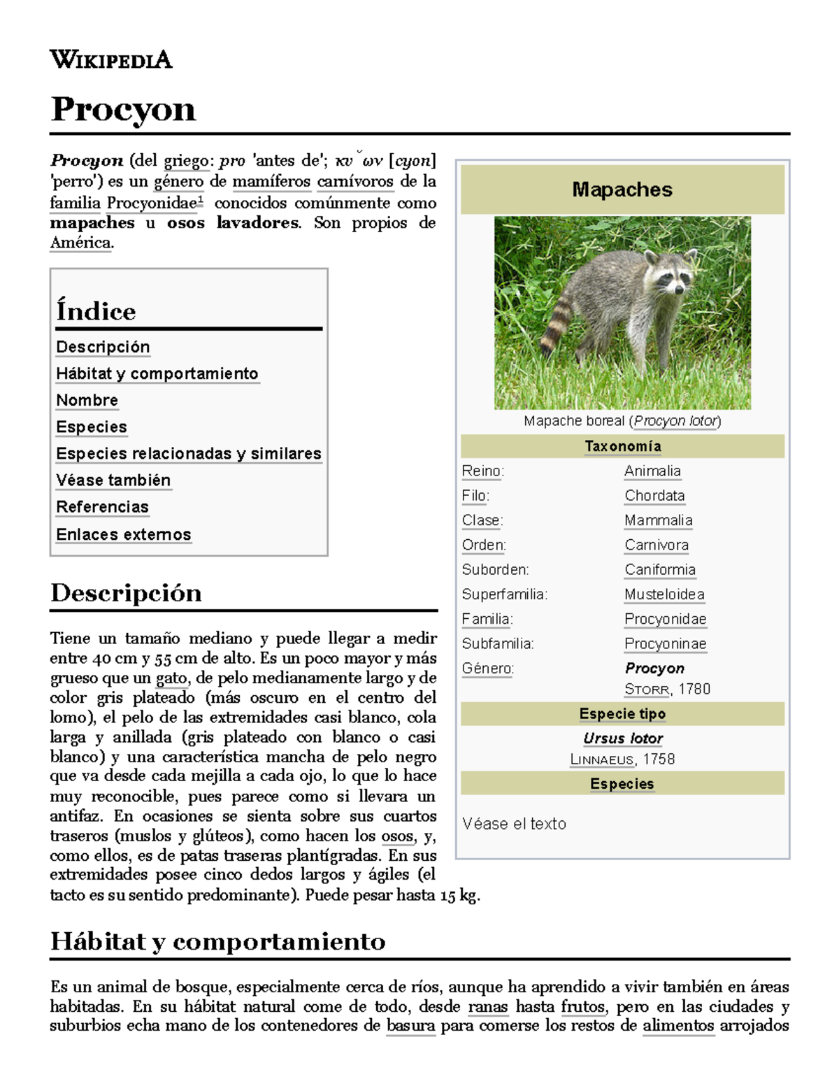 2 Mapache - ggfg - Mapaches Mapache boreal ( Procyon lotor ) Taxonomía ...