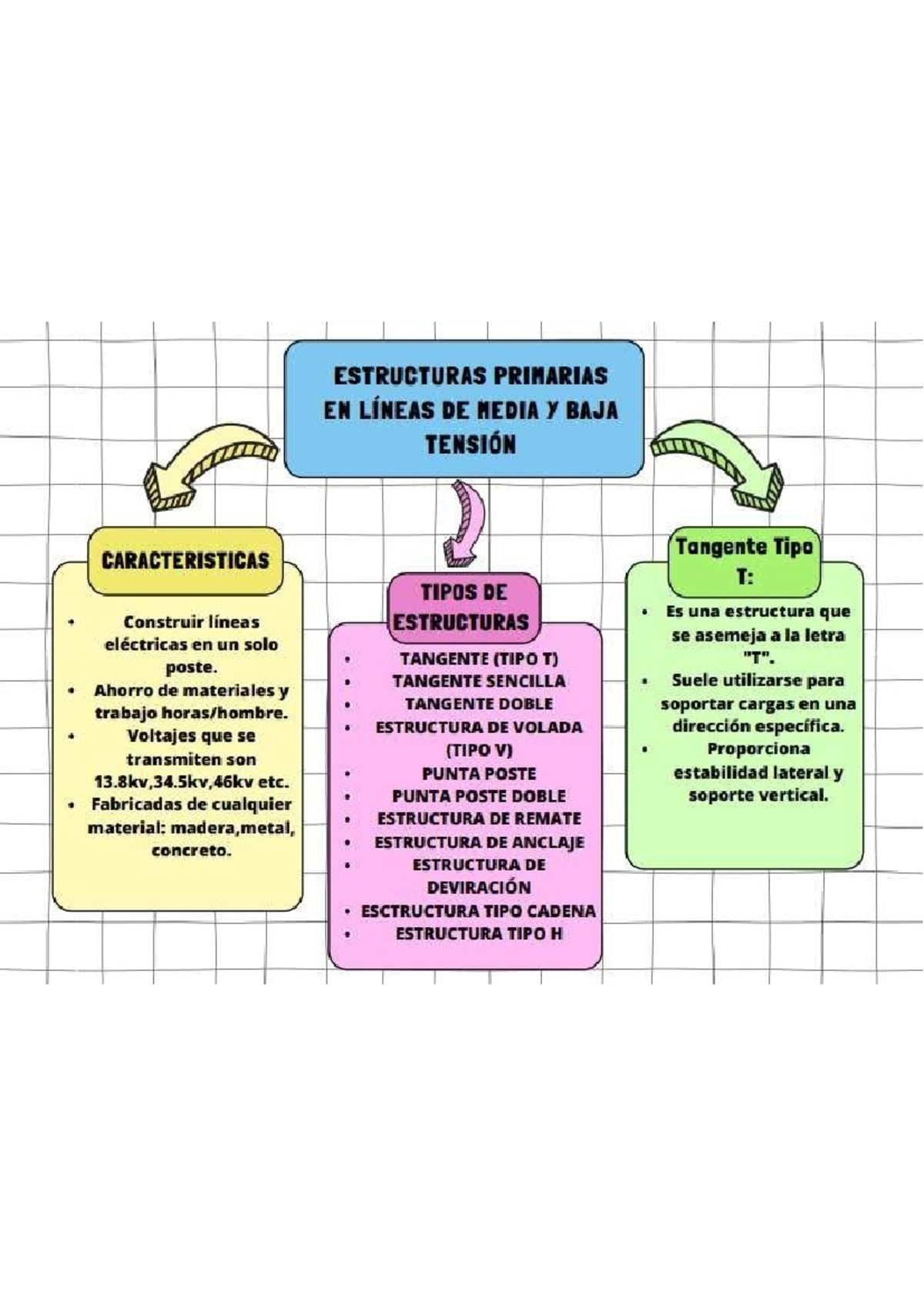 Whats App Image 2024-07-02 at 11 - ESTRUCTURAS PRIMARIAS EN LÍNEAS DE ...