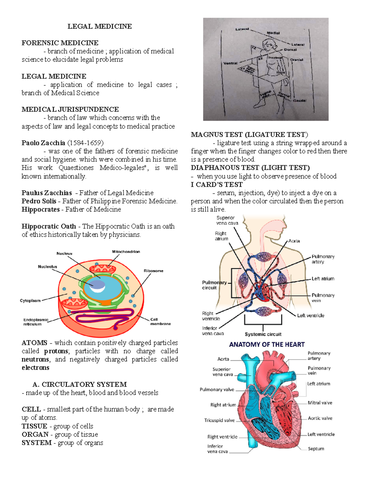 Legal Medicine - notes - LEGAL MEDICINE FORENSIC MEDICINE branch of ...