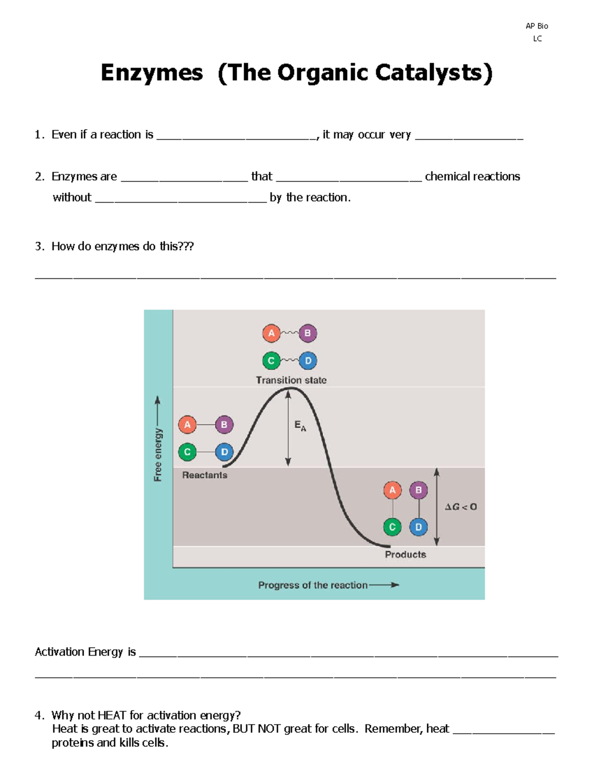 Enzyme Notes - Hhyhbuughbyubyuby7uoughjhgib Gy Hu job gy8uhbgyuh - AP ...