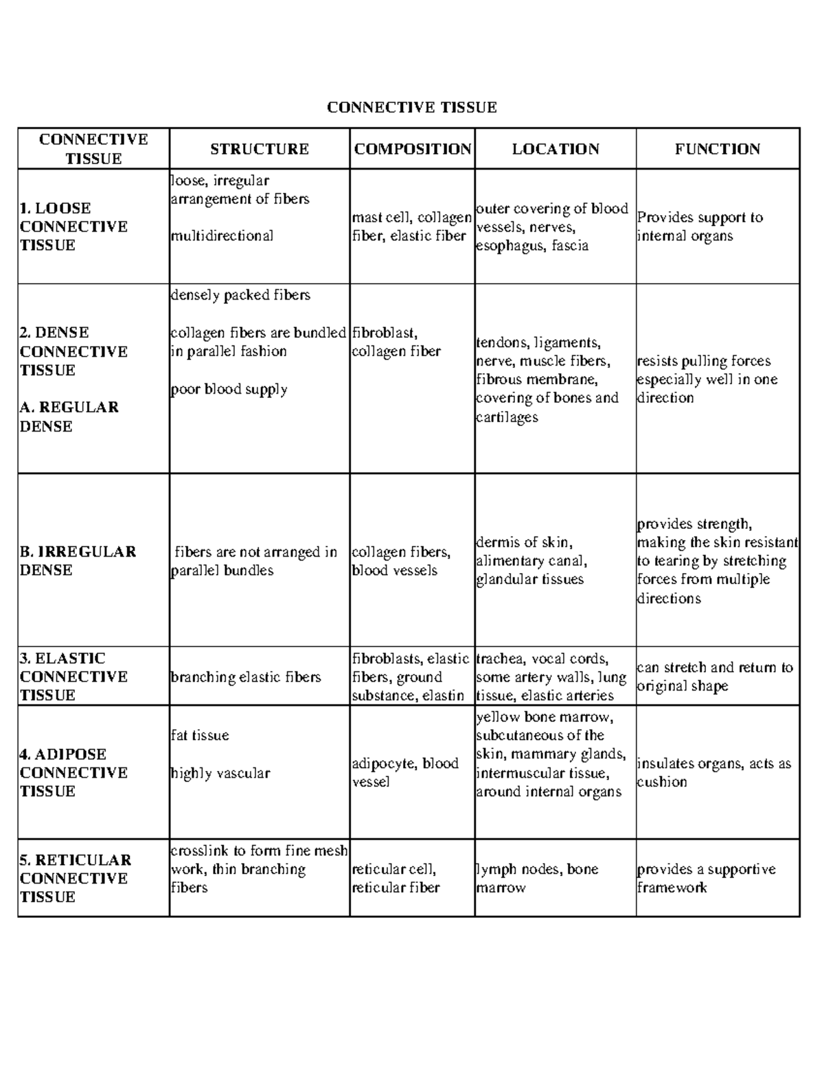 Connective- Tissue - Lecture notes 1 - CONNECTIVE TISSUE CONNECTIVE ...
