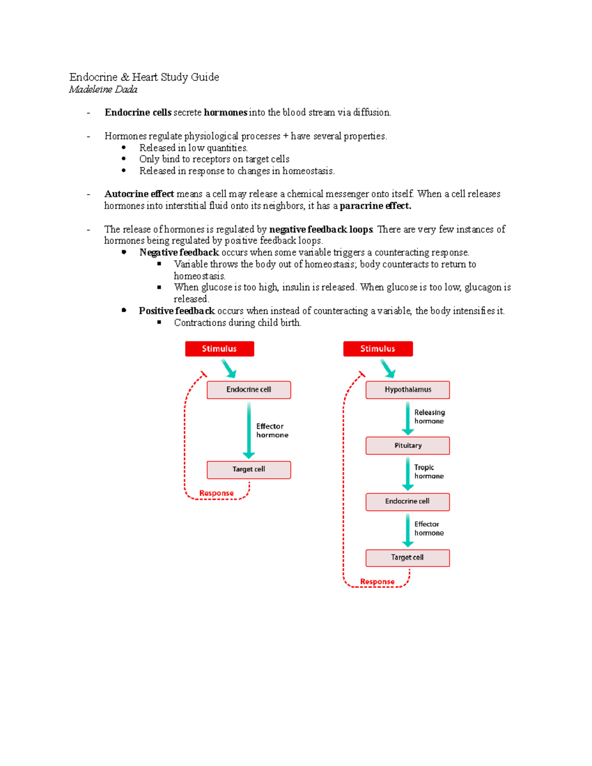 Endocrine Study Guide - Endocrine & Heart Study Guide Madeleine Dada ...