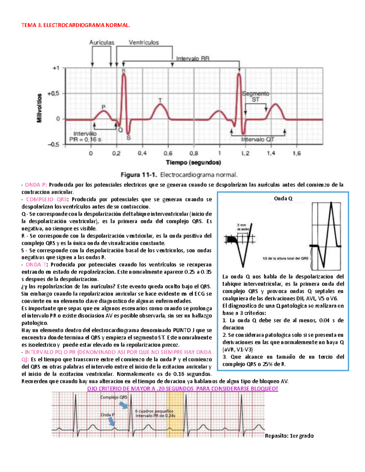TEMA 3. Electrocardiograma Normal - TEMA 3. ELECTROCARDIOGRAMA NORMAL ...