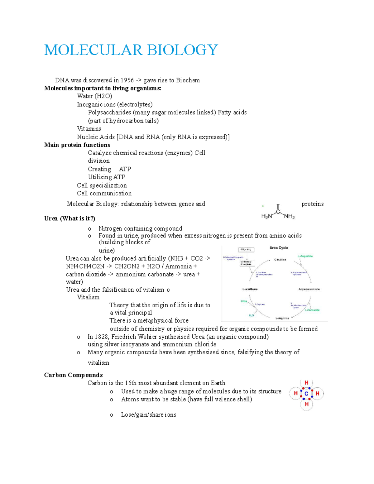 Introduction to Molecular Biology - MOLECULAR BIOLOGY MOLECULES TO ...