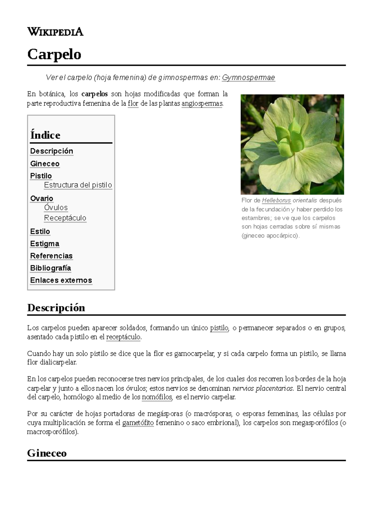 Carpelo - Flor de Helleborus orientalis después de la fecundación y ...