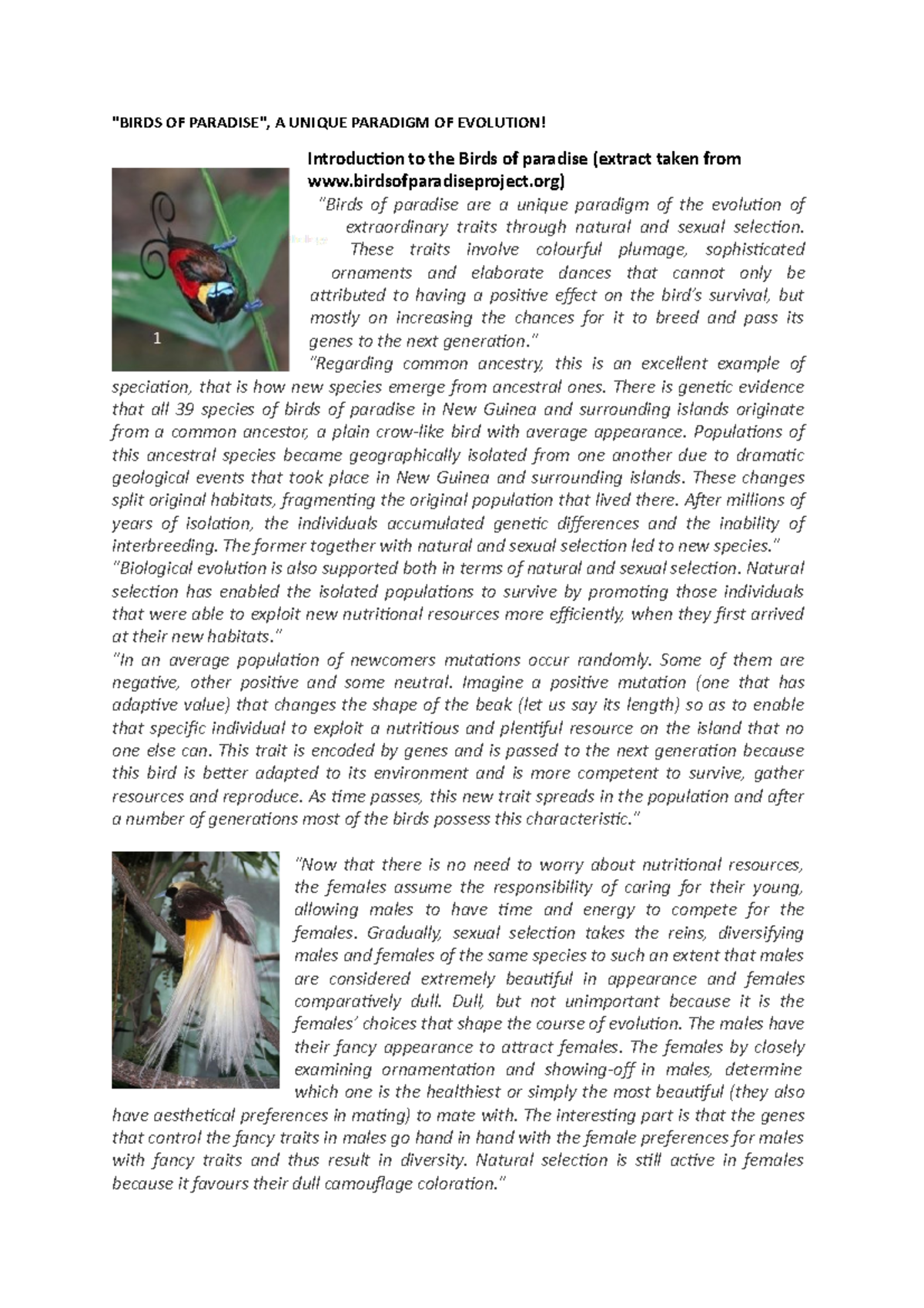 Speciation - Birds of Paradise - "BIRDS OF PARADISE", A UNIQUE PARADIGM ...