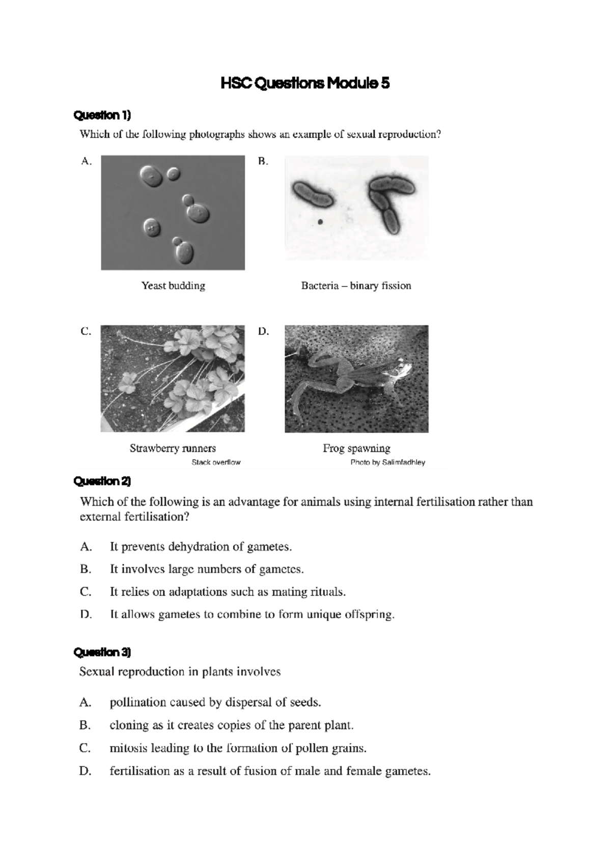 HSC Questions Module 5 - Studocu
