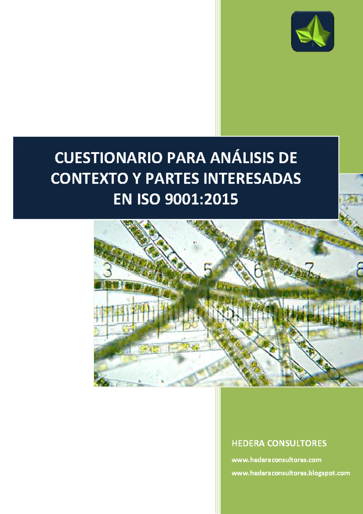 Cuestionario Análisis Contexto Partes Interesadas ISO 9001 2015 ...