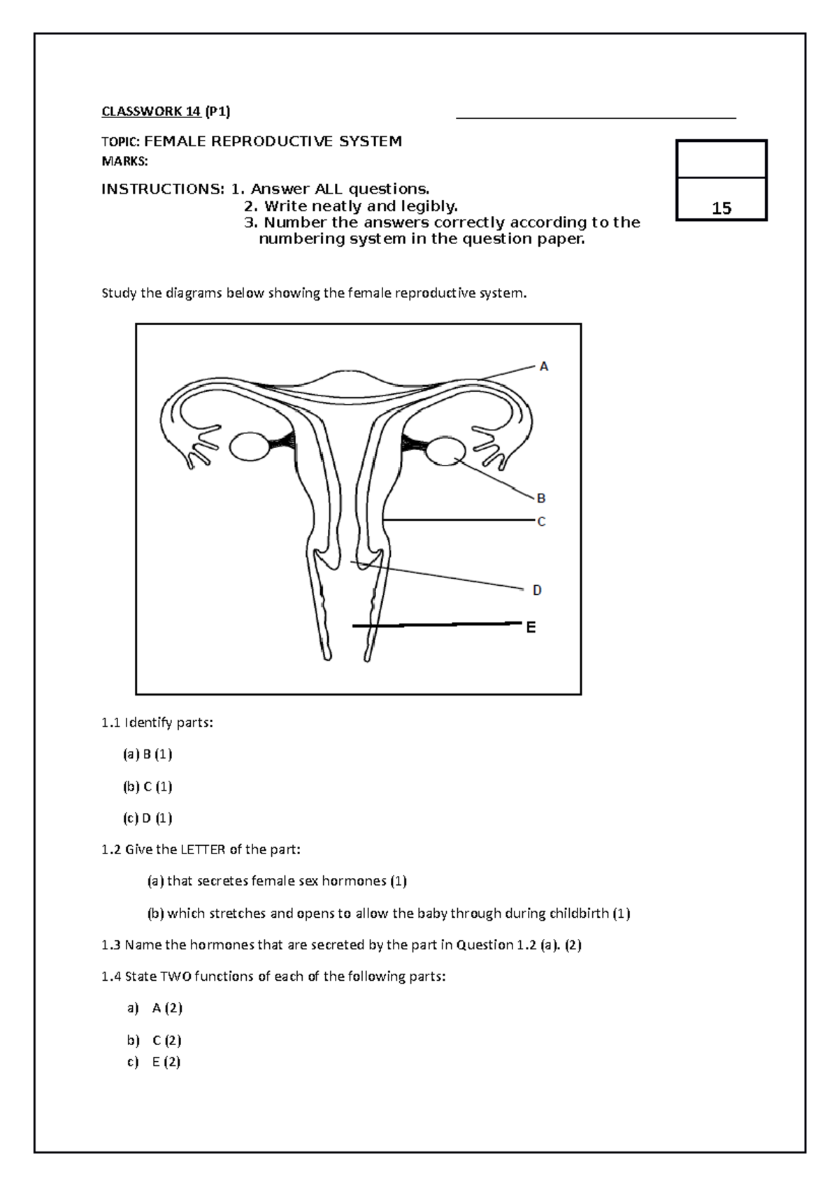 2022 Classwork Female reproductive system - CLASSWORK 14 (P1) - Studocu