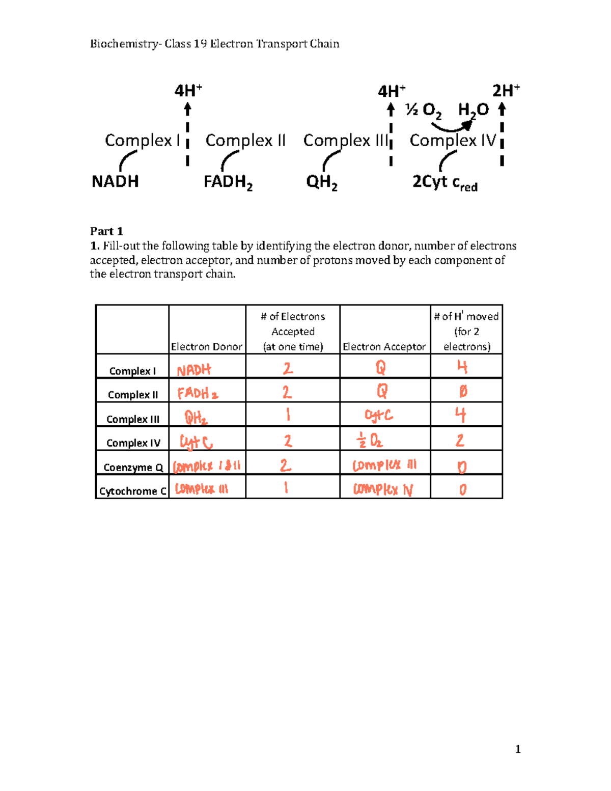 Biochem Assn 4-11 - In Class Work Tifft - Biochemistry- Class 19 ...