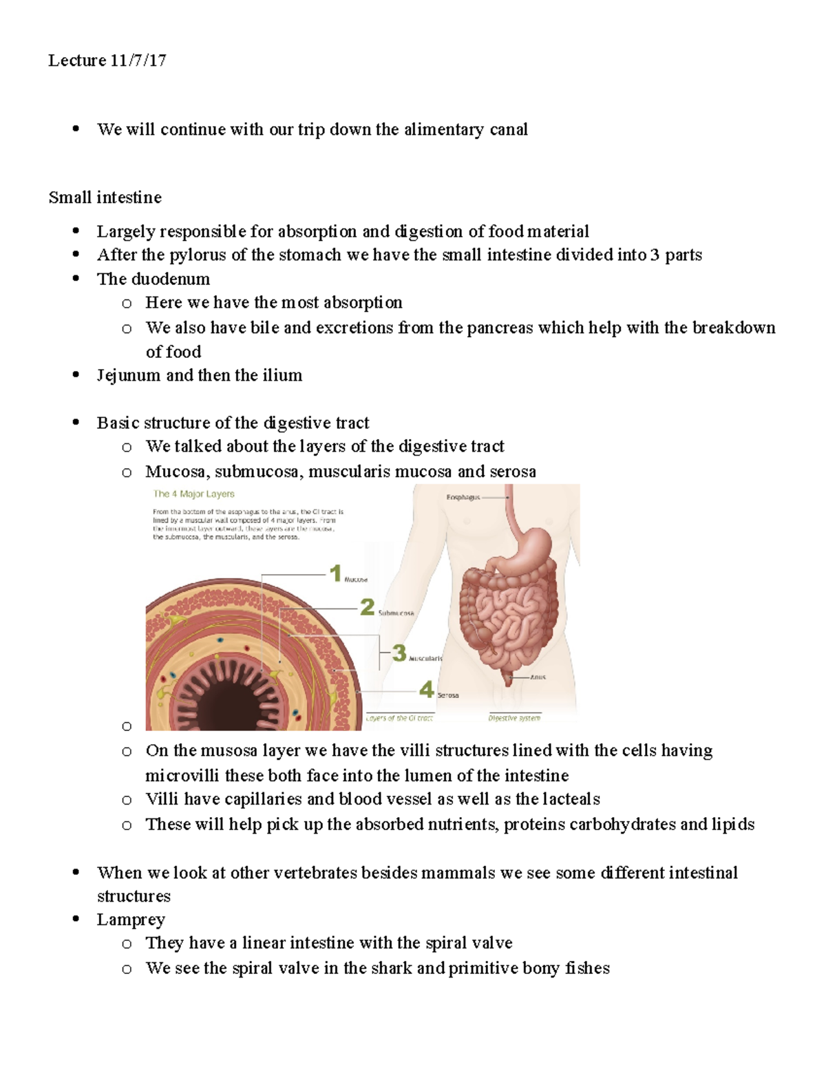 Comp Vert Exam 3 notes - Lecture note covering the material for BIO 448 ...