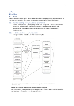 Voorbeeld van een opgestelde GVO | OWG opdracht - Onderwijsgroep - Viaa ...