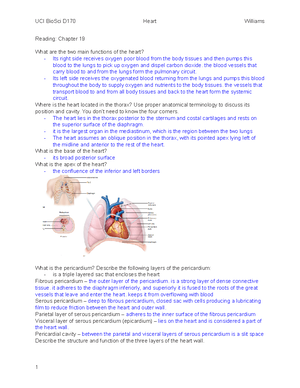 Anatomy 2022 summer MT1 - Module 1: INTRO TO ANATOMY LO1: Order of body ...