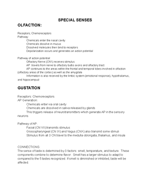 NS study material-1 - Due to the amount of material for the next exam ...