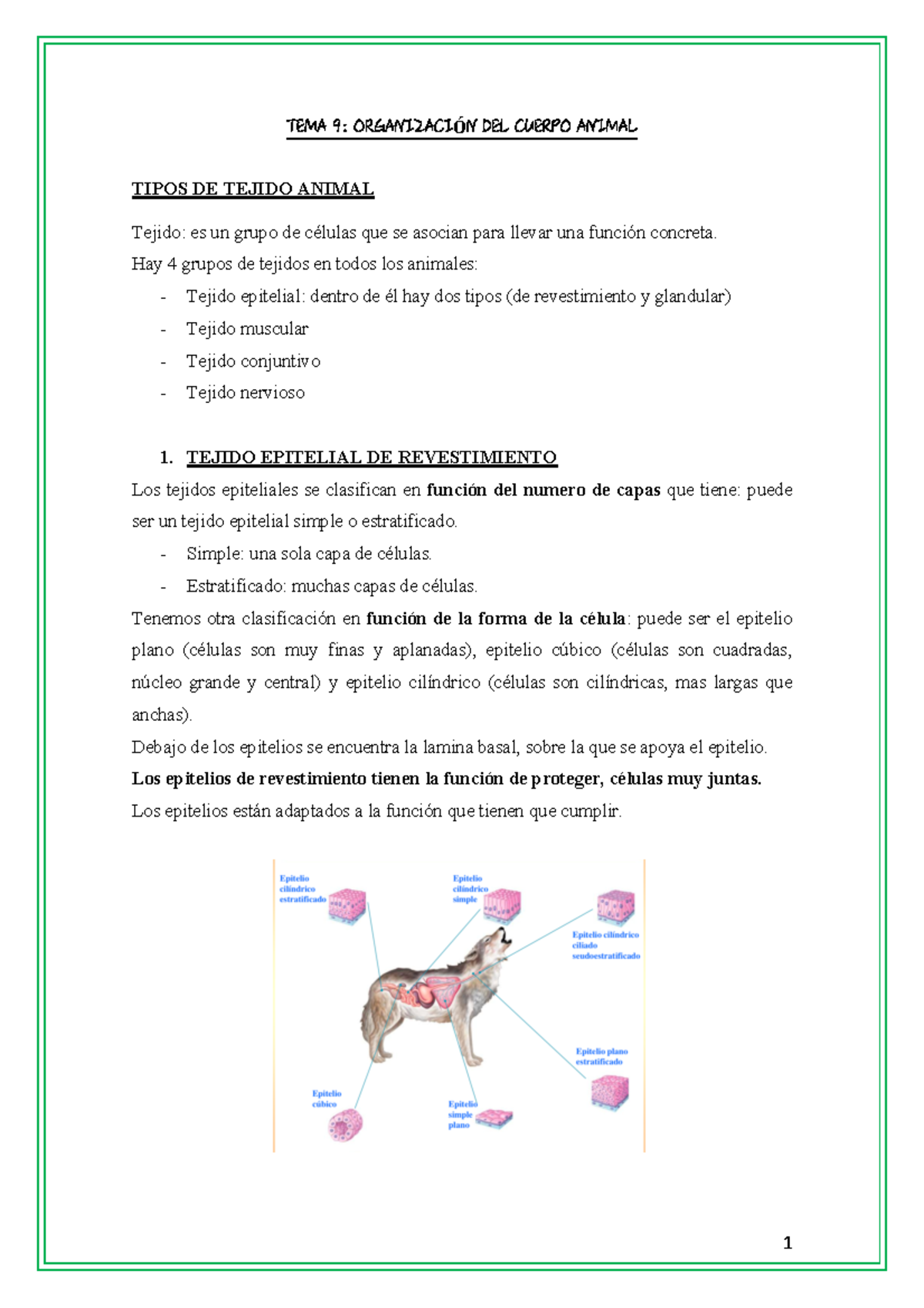 Tema 9 Pdf Apuntes Warning Tt Undefined Function 32 Warning Error During Font Loading