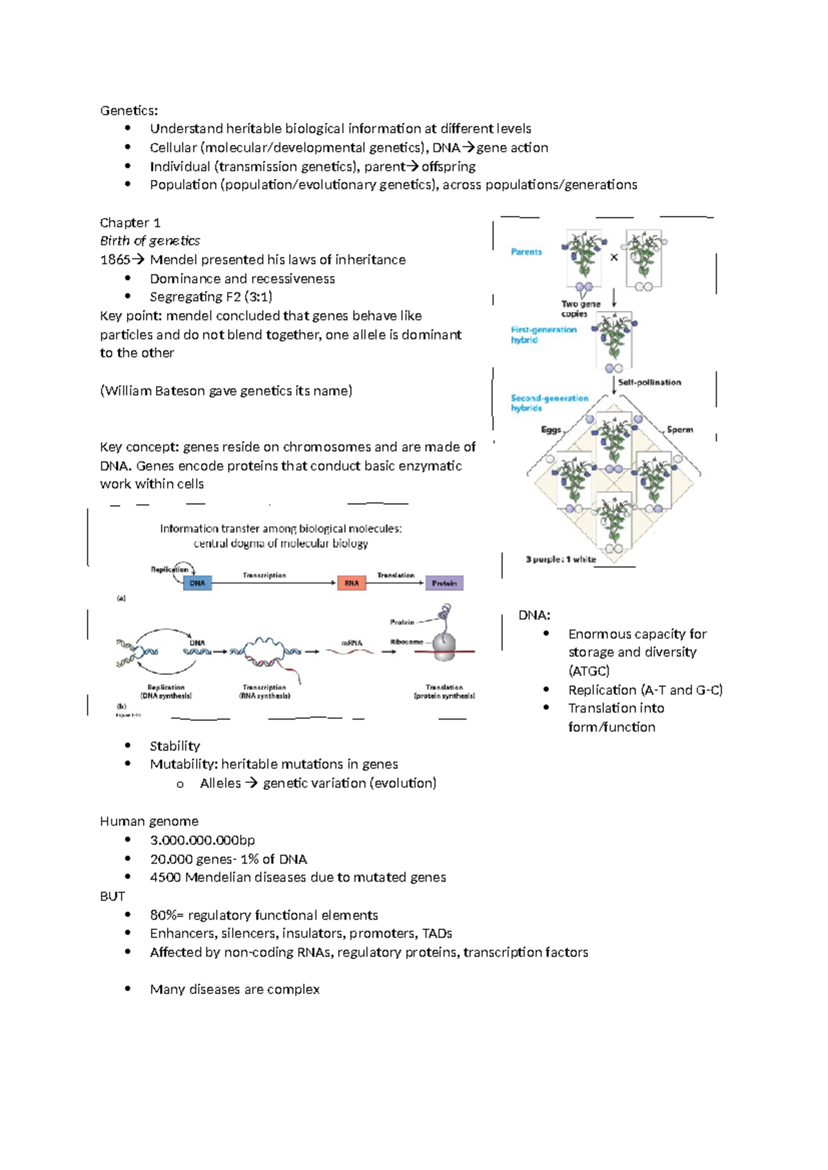 Lecture week 1 summary - Genetics: Understand heritable biological ...